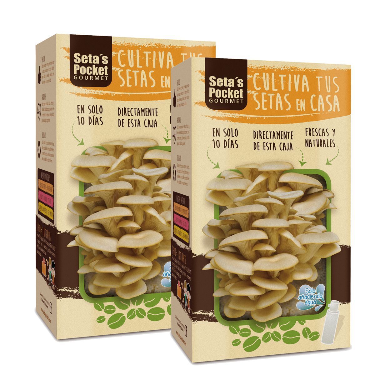 x2 SETAS POCKET GOURMET | La experiencia de cultivar